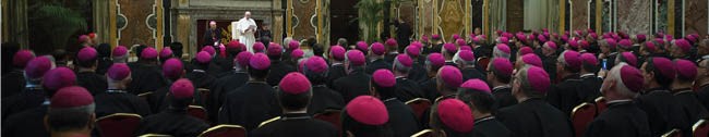 Dicasteries Dicastery for Bishops Structure